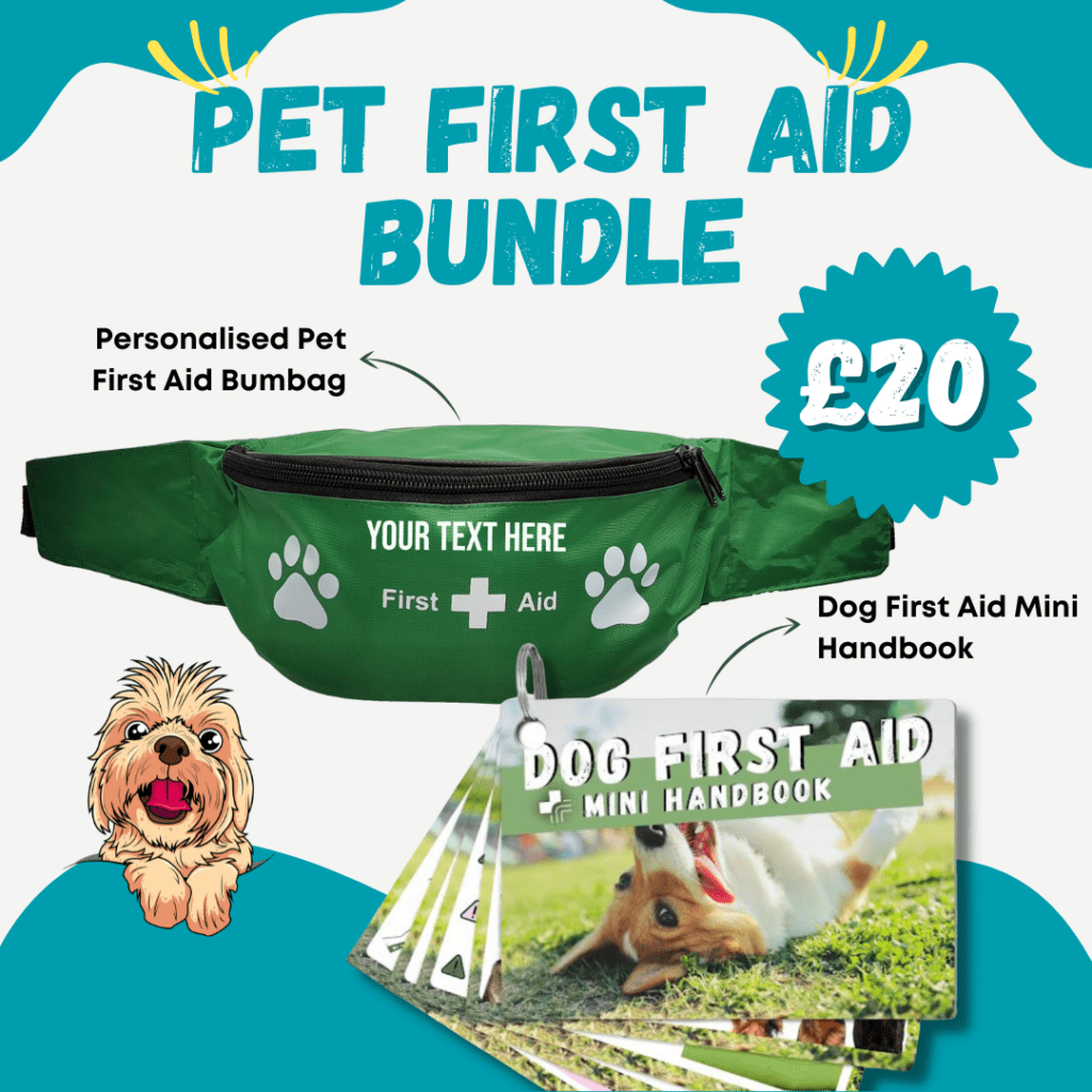 Large Vehicle First Aid Kit | Act Fast First Aid